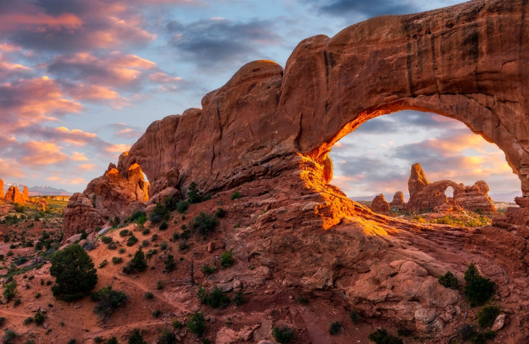 IBAT: Integrated Biodiversity Assessment Tool branding - 10 Creative